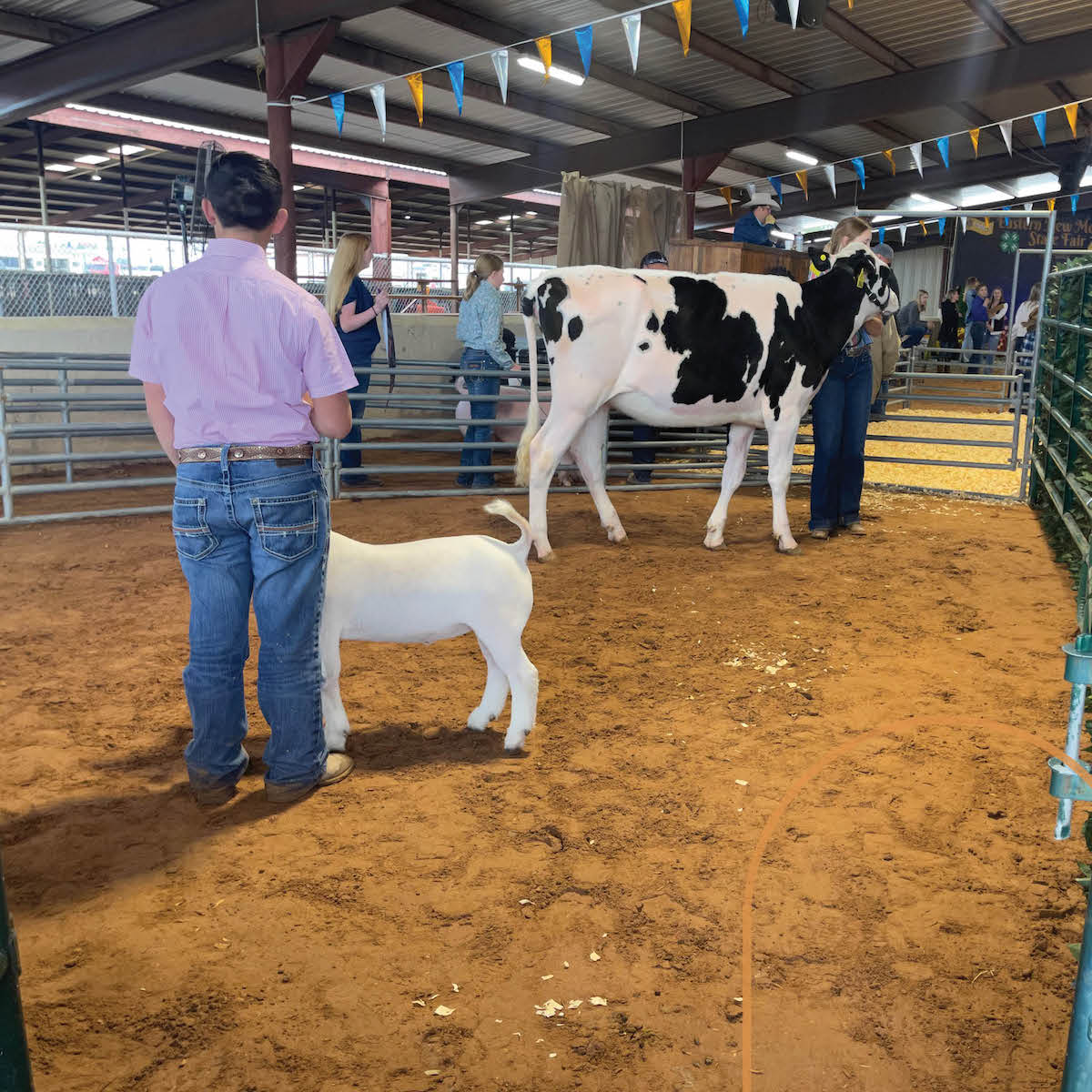 2022 Eastern New Mexico State Fair Junior Livestock Auction - Pattern ...
