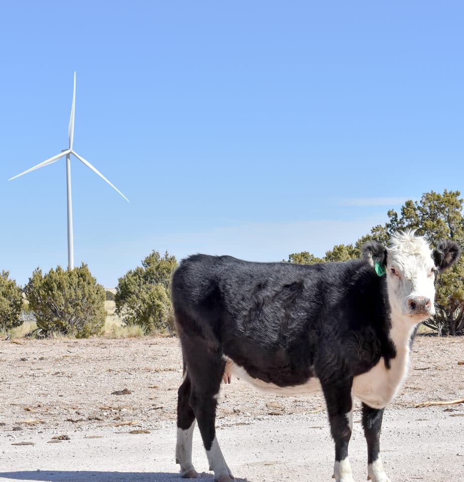 NMSU joins turbine project to capture clean energy, create educational ...