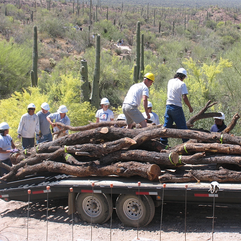 Dar una segunda vida a los mezquites - Pattern Energy - New Mexico